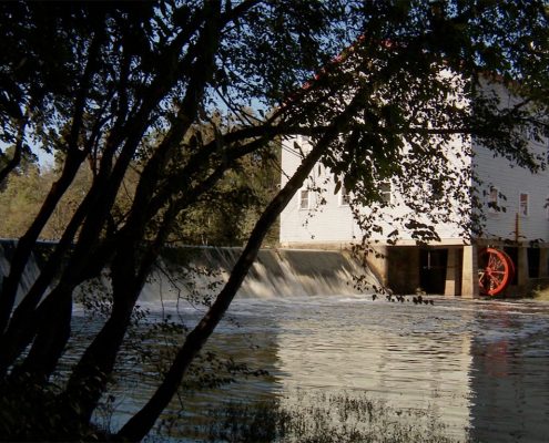 Live Here - Town of Selma