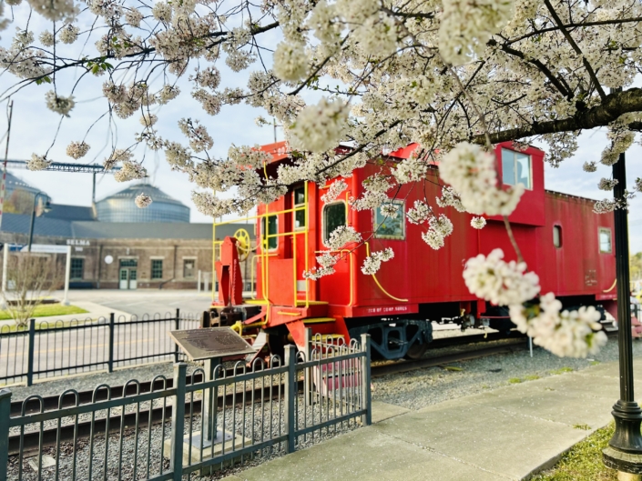 Live Here - Town of Selma