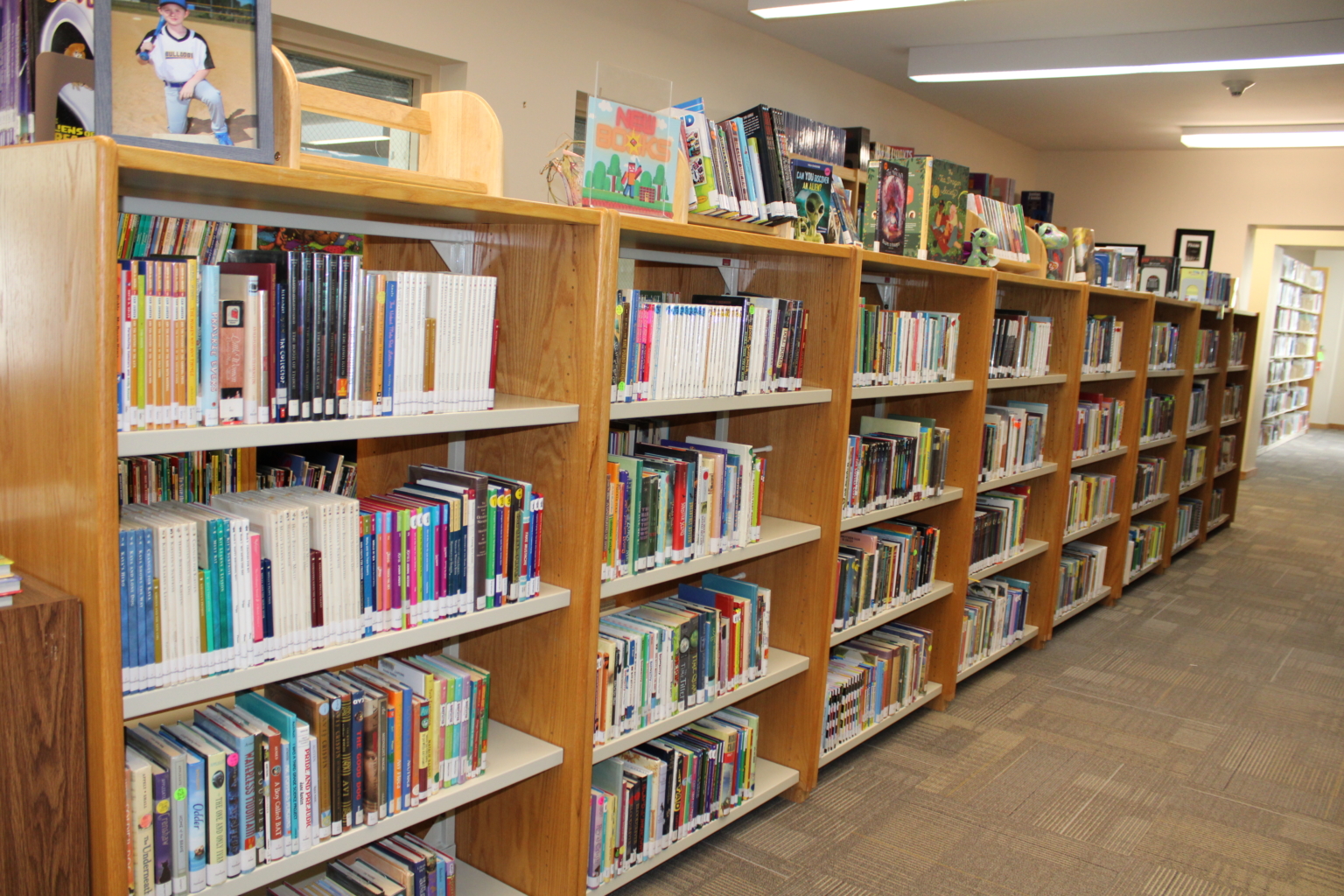 Library - Town of Selma